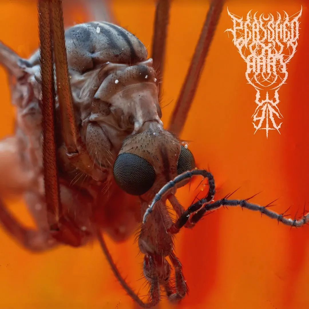 Delusions of Grandeur – Perished Hart | Music Review | Trapmetal ...